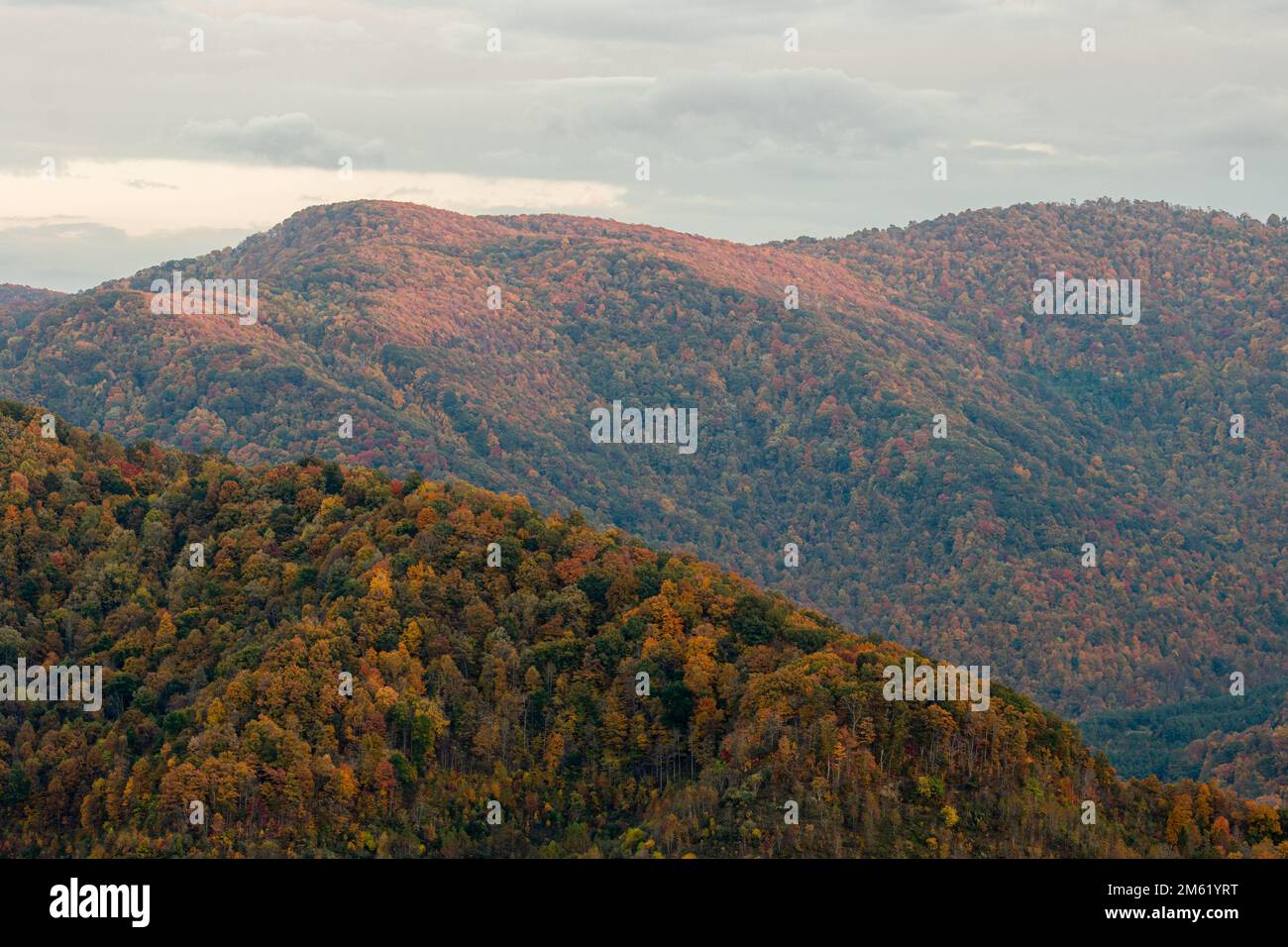 Autumn color shows in the forested mountains of Central Appalachia ...