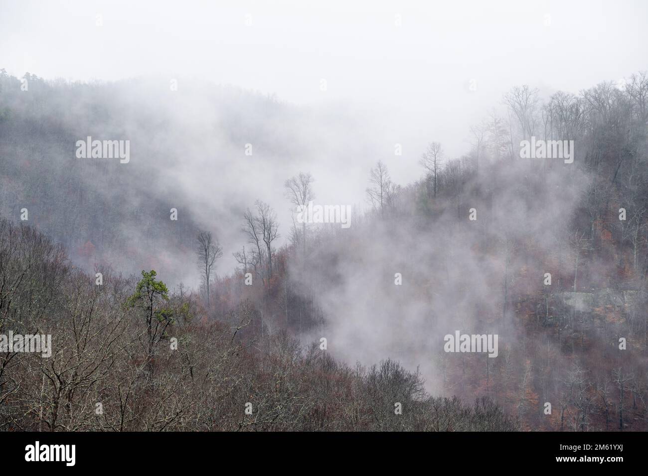 Early morning mist rises above a valley in Central Appalachia Stock ...
