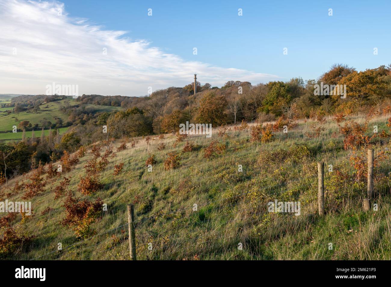 Landscape photo of the autumn colours at the Admiral Hood Monument on ...