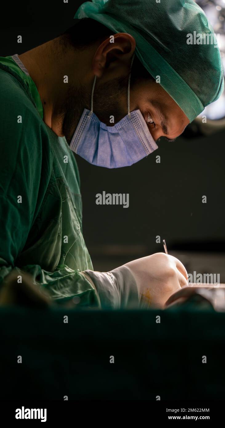 rhinoplasty surgery, defects in the shape of the nose in the female ...