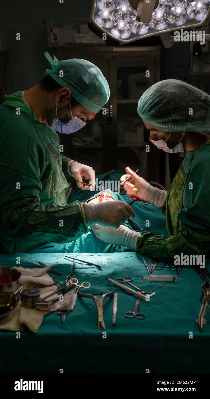 rhinoplasty surgery, defects in the shape of the nose in the female ...