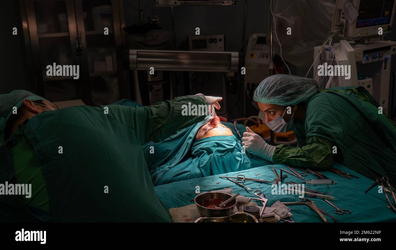 rhinoplasty surgery, defects in the shape of the nose in the female ...