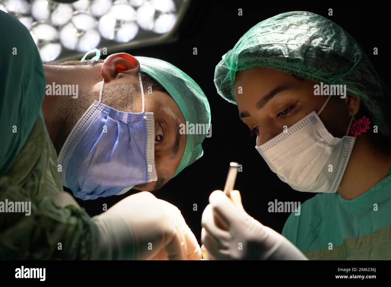 rhinoplasty surgery, defects in the shape of the nose in the female ...