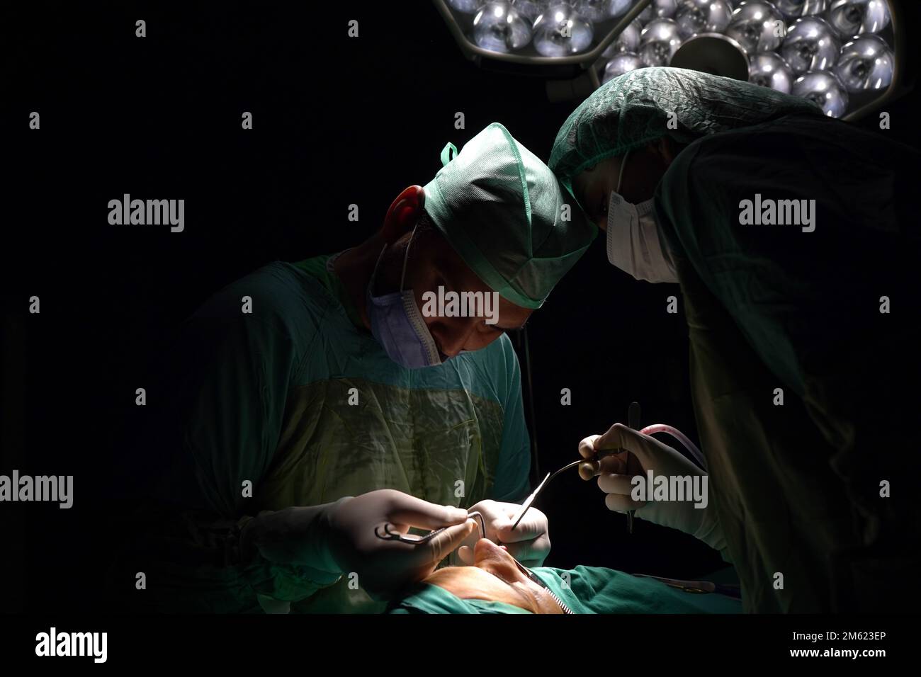 rhinoplasty surgery, defects in the shape of the nose in the female ...