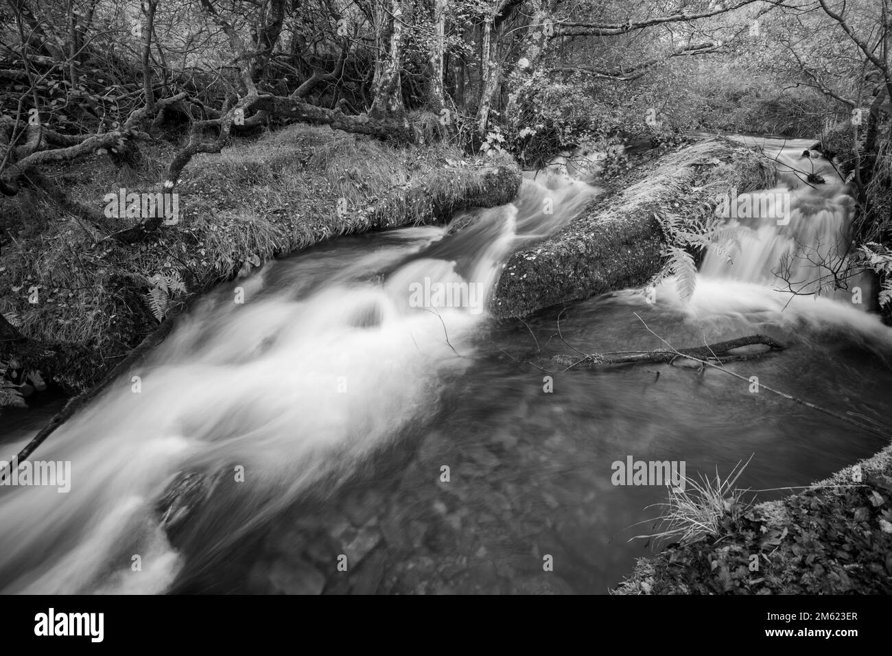 Stream on exmoor national Black and White Stock Photos & Images - Alamy