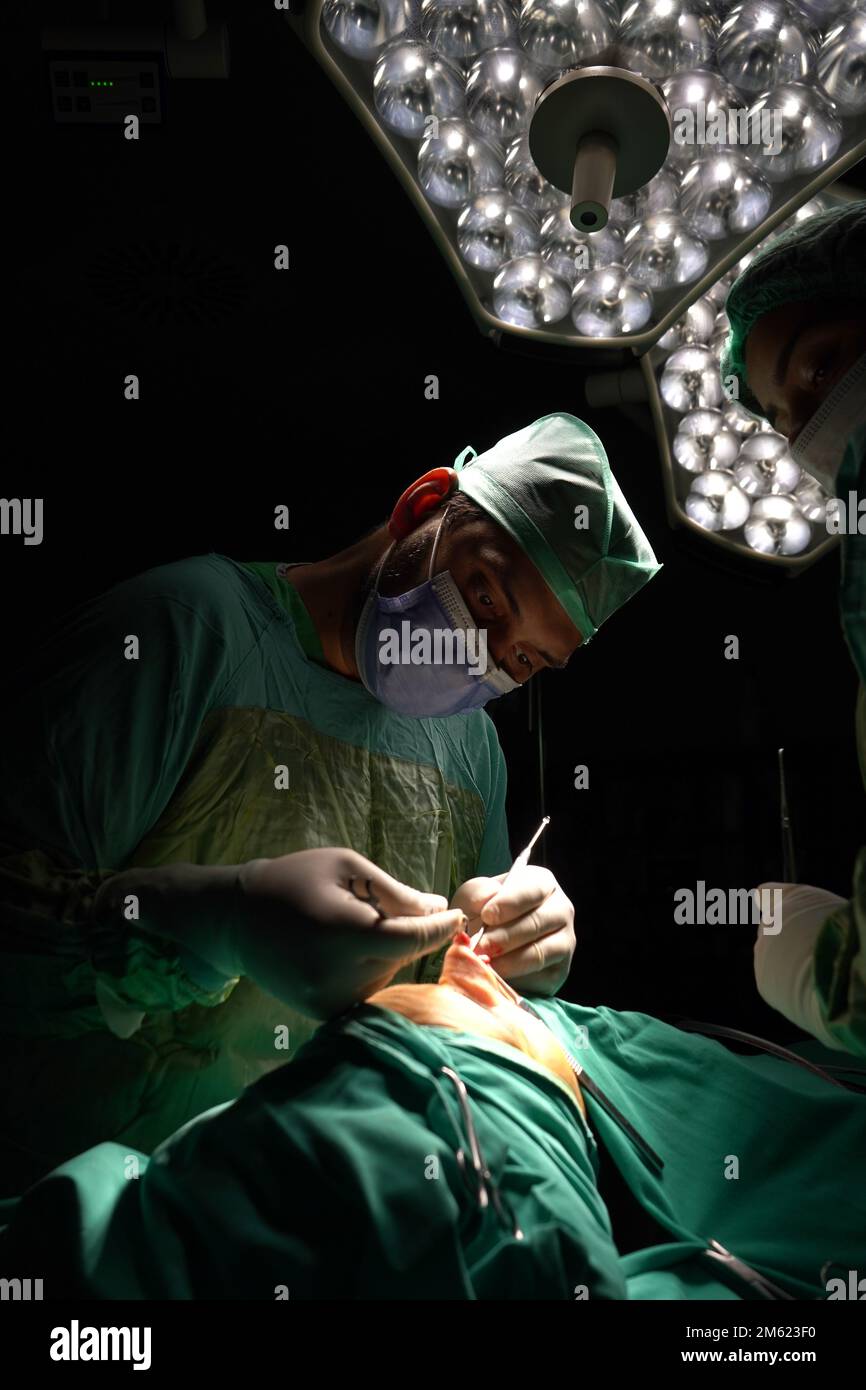 rhinoplasty surgery, defects in the shape of the nose in the female ...