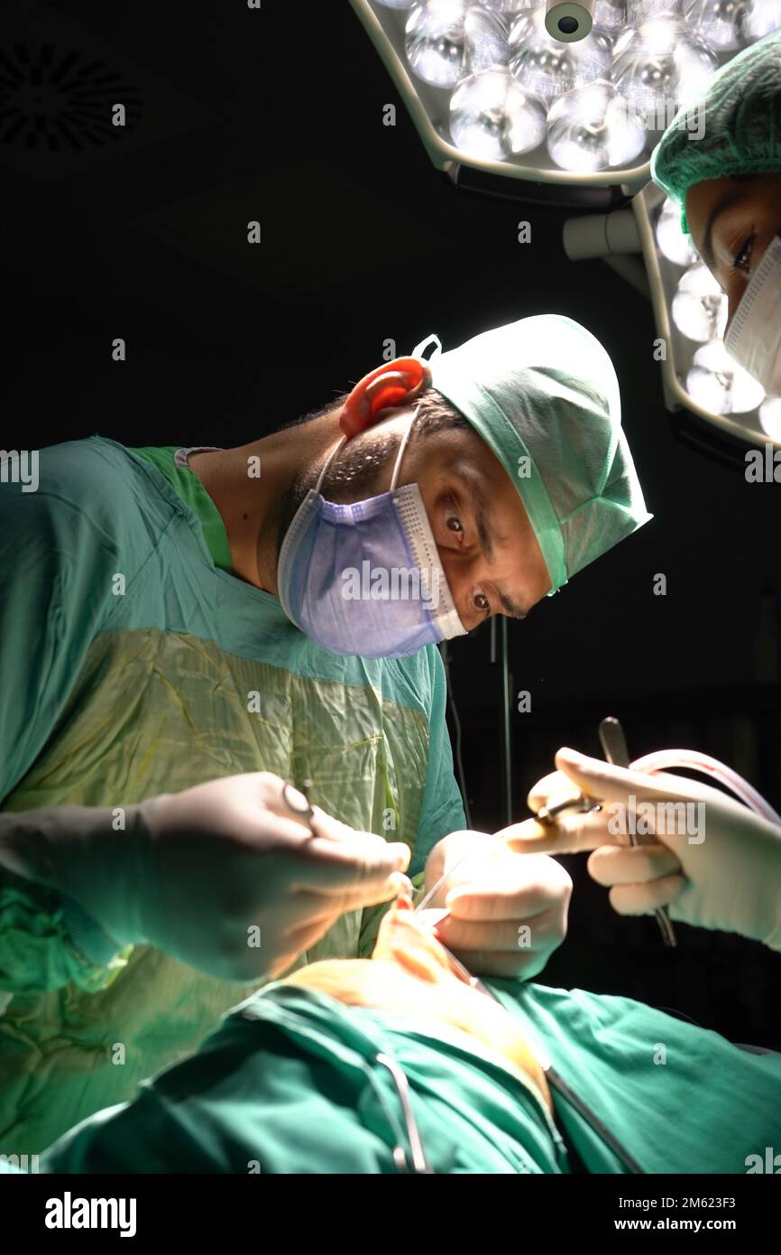 rhinoplasty surgery, defects in the shape of the nose in the female ...