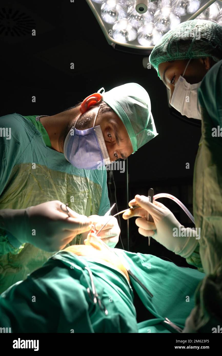 rhinoplasty surgery, defects in the shape of the nose in the female ...