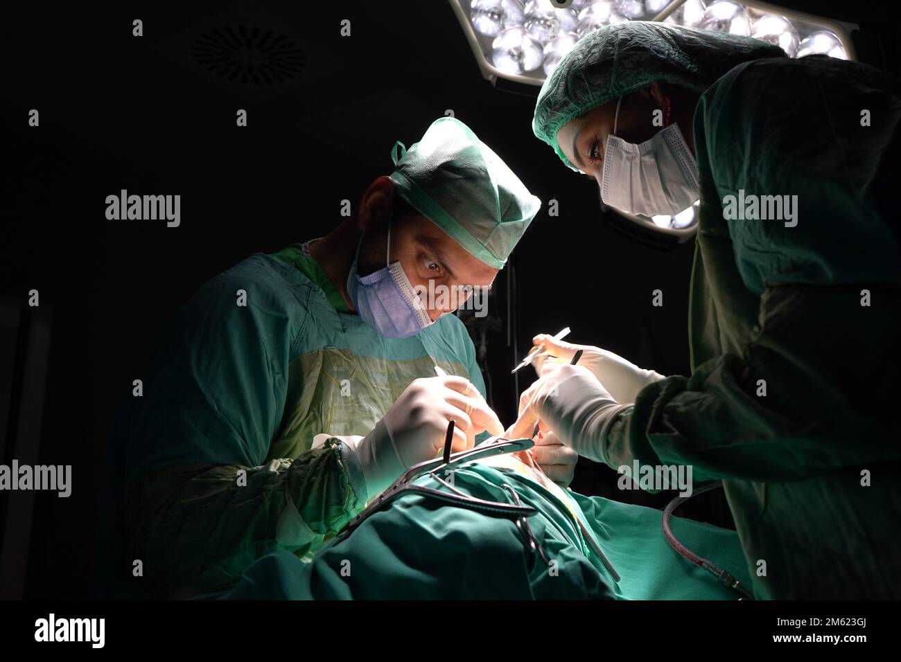 rhinoplasty surgery, defects in the shape of the nose in the female ...