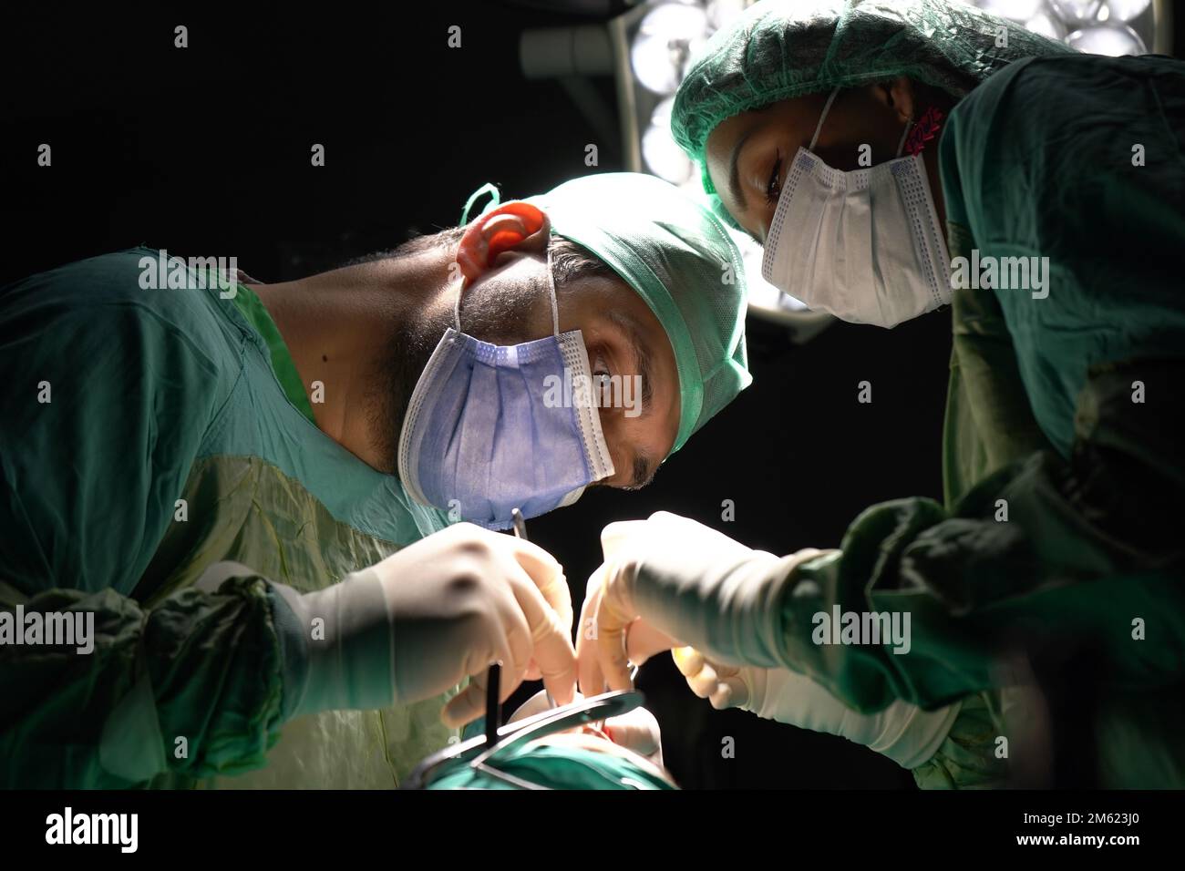 rhinoplasty surgery, defects in the shape of the nose in the female ...