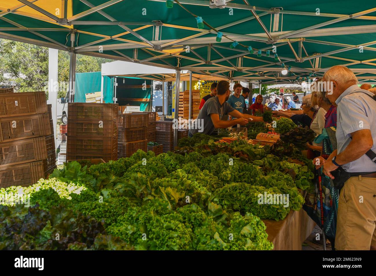 Elderly people shopping at a fruit and vegetable counter at the weekly ...