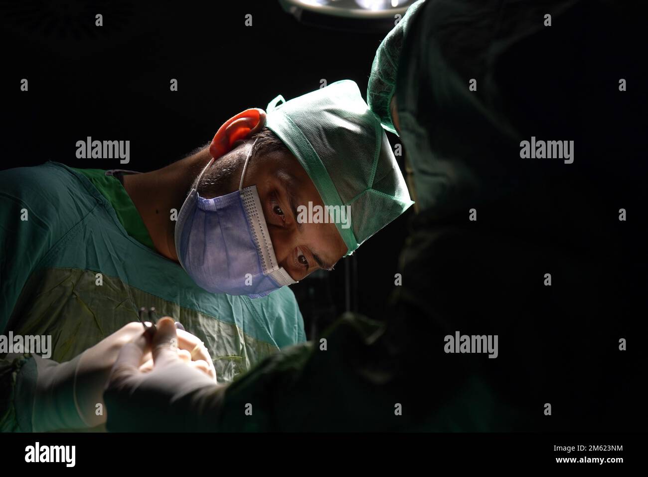 rhinoplasty surgery, defects in the shape of the nose in the female ...