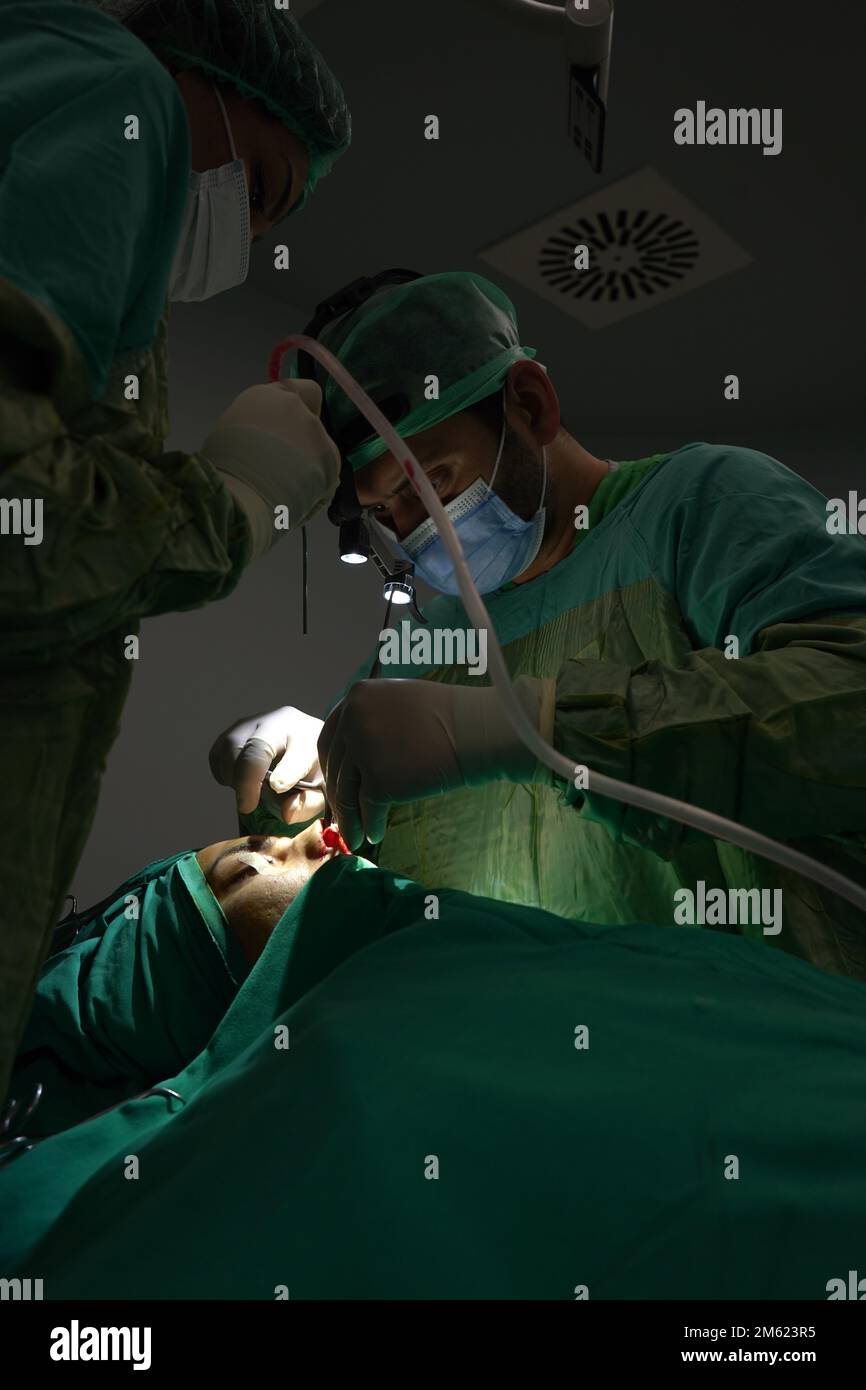 rhinoplasty surgery, defects in the shape of the nose in the female ...