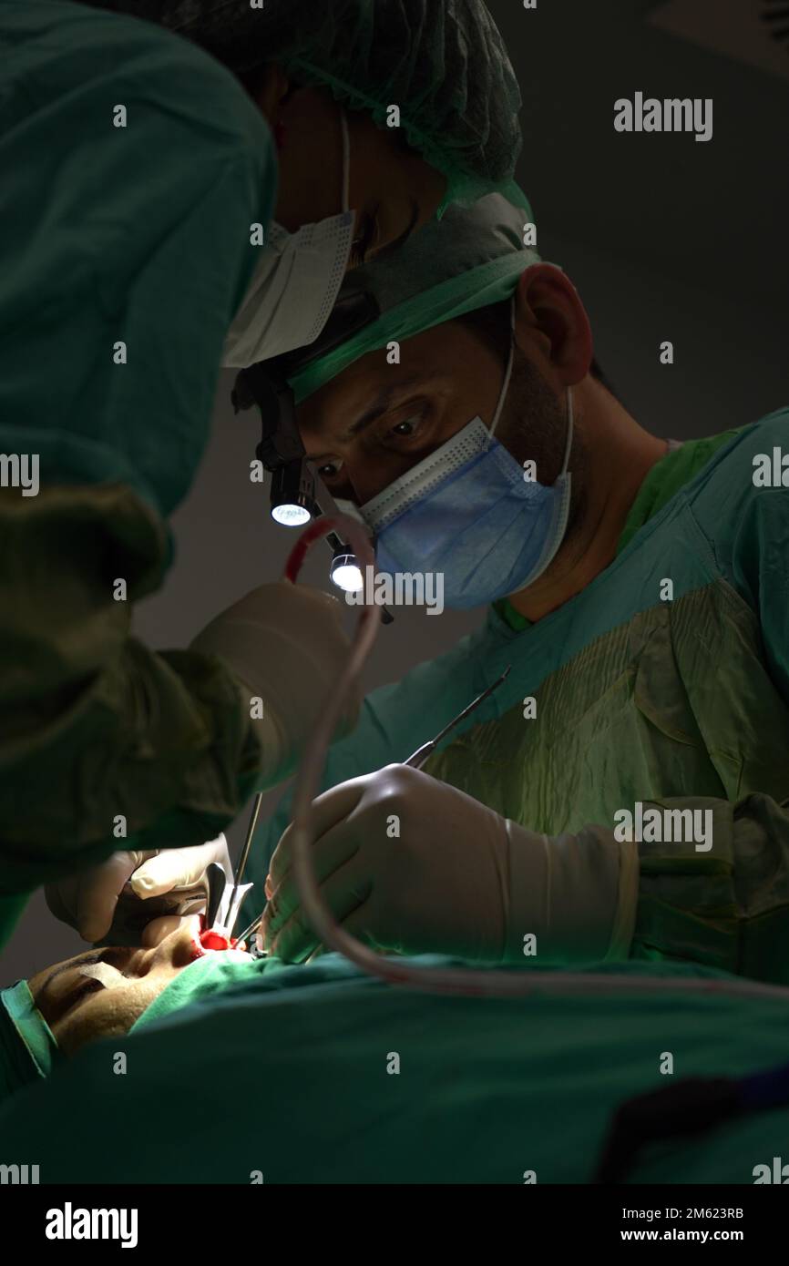 rhinoplasty surgery, defects in the shape of the nose in the female ...