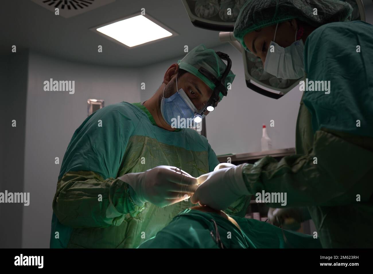 rhinoplasty surgery, defects in the shape of the nose in the female ...