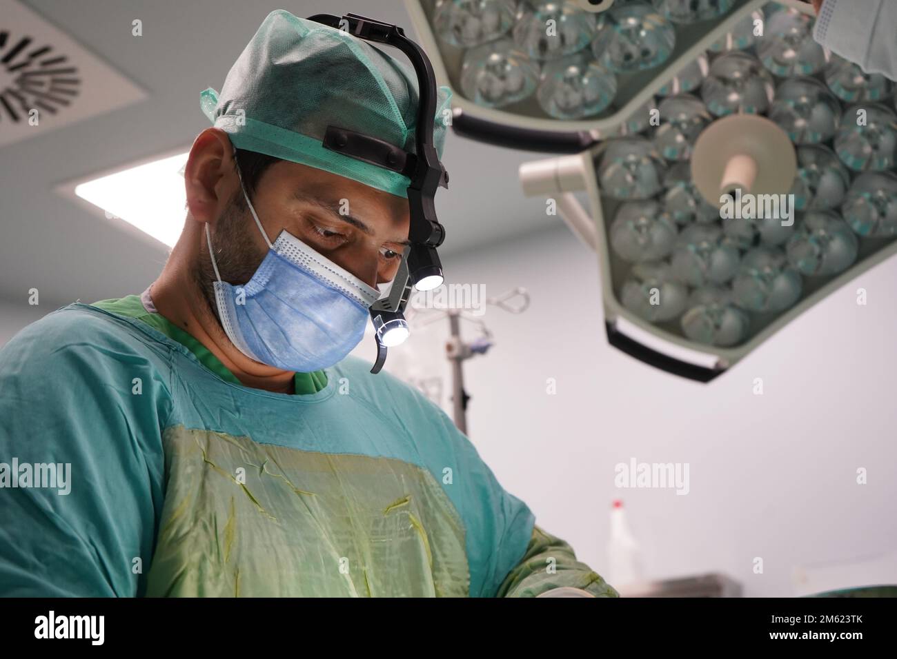 rhinoplasty surgery, defects in the shape of the nose in the female ...