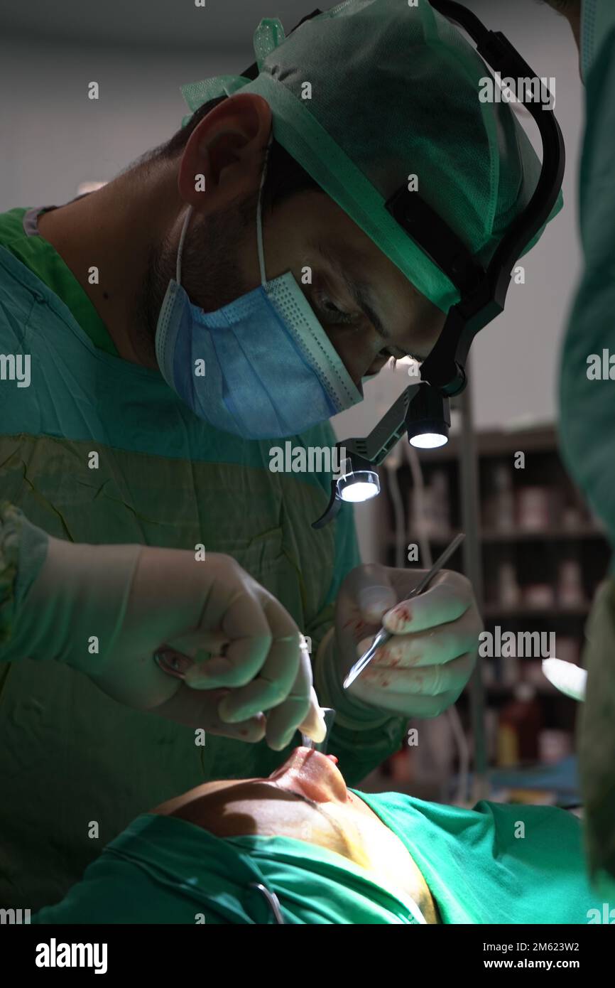 rhinoplasty surgery, defects in the shape of the nose in the female ...