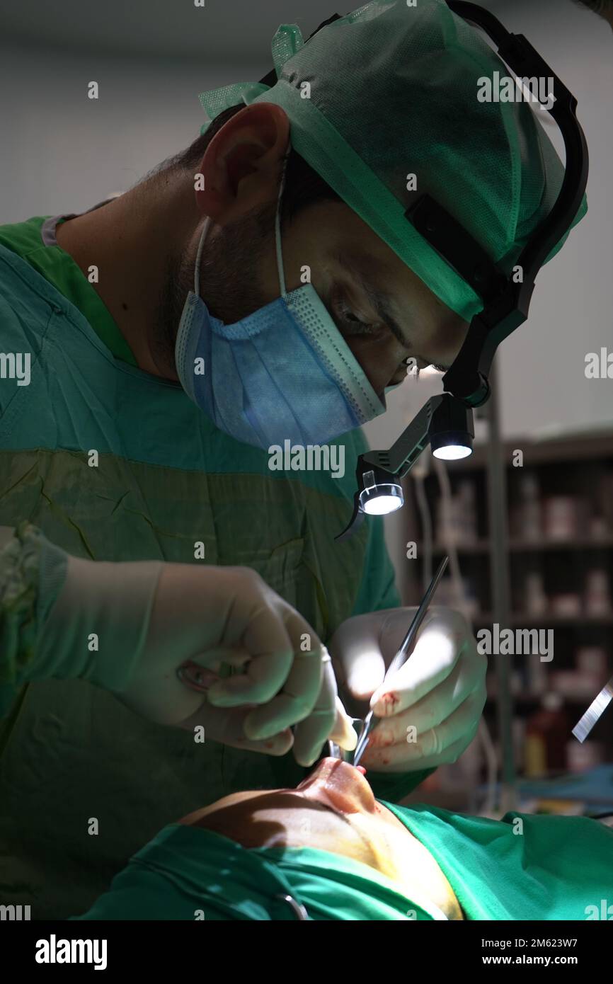 rhinoplasty surgery, defects in the shape of the nose in the female ...