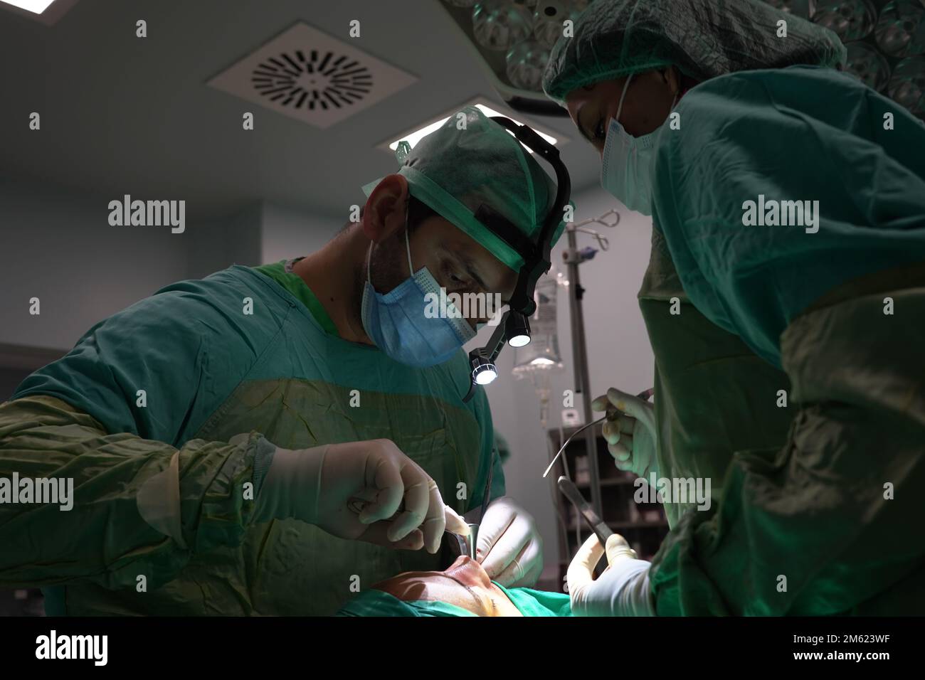 rhinoplasty surgery, defects in the shape of the nose in the female ...