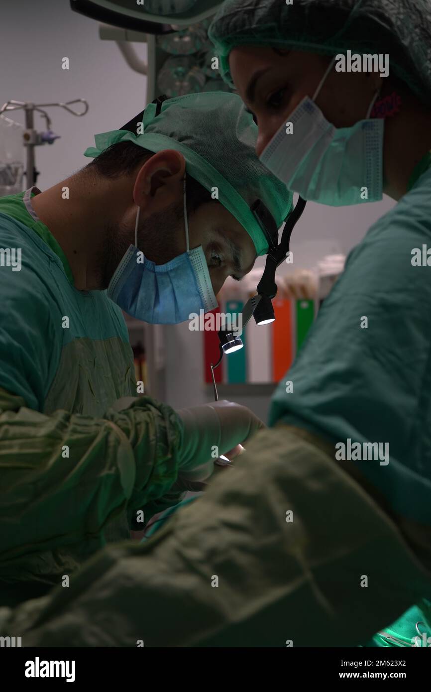 rhinoplasty surgery, defects in the shape of the nose in the female ...