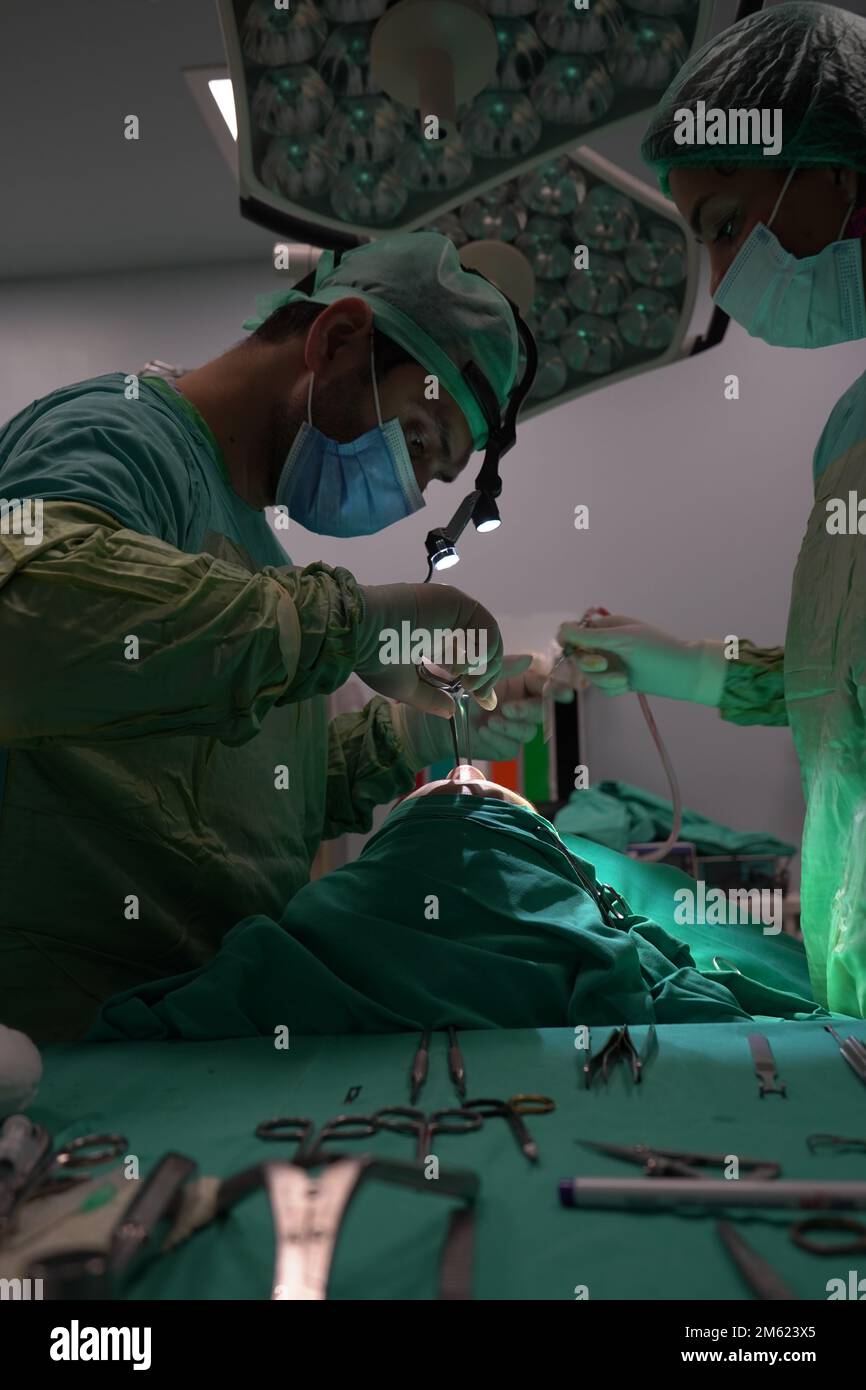 rhinoplasty surgery, defects in the shape of the nose in the female ...