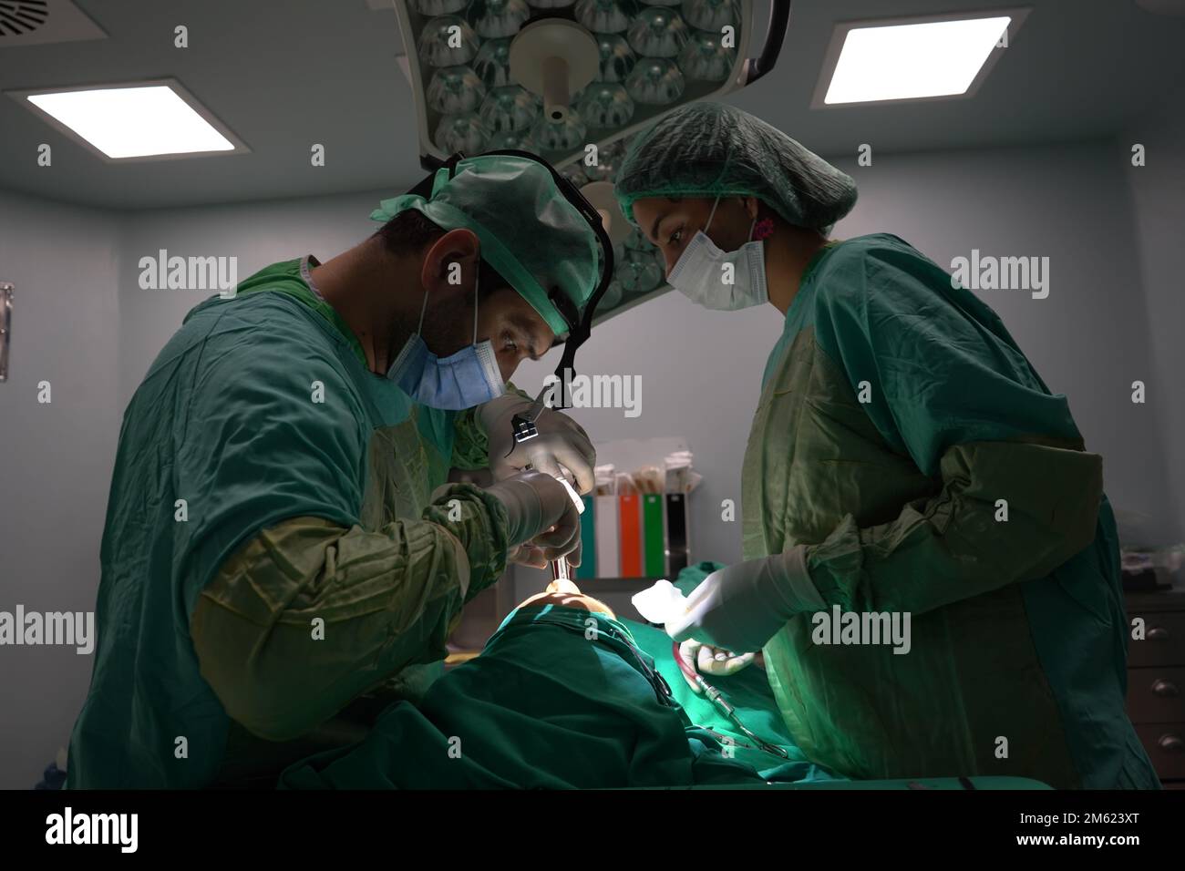 rhinoplasty surgery, defects in the shape of the nose in the female ...