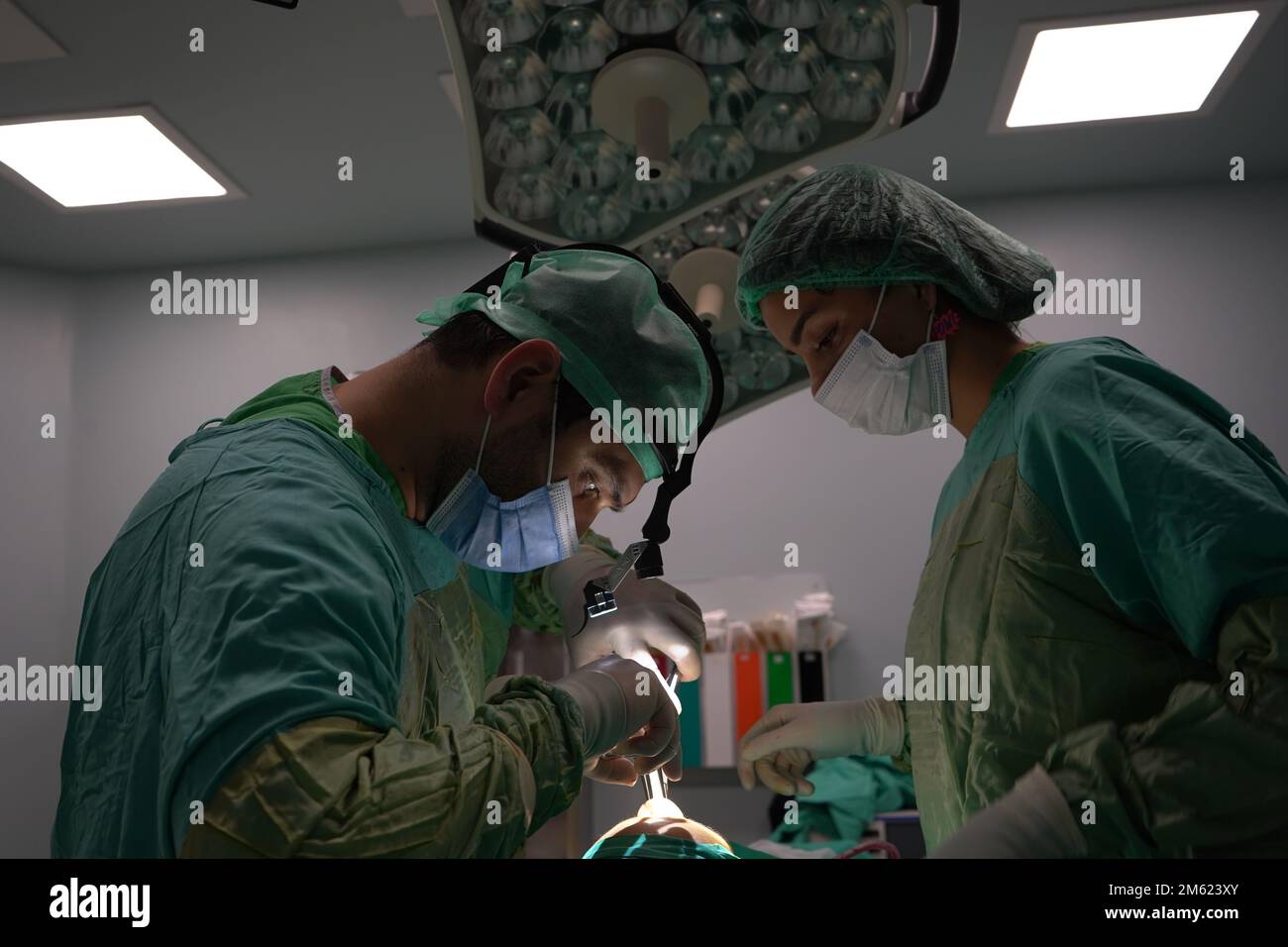 rhinoplasty surgery, defects in the shape of the nose in the female ...