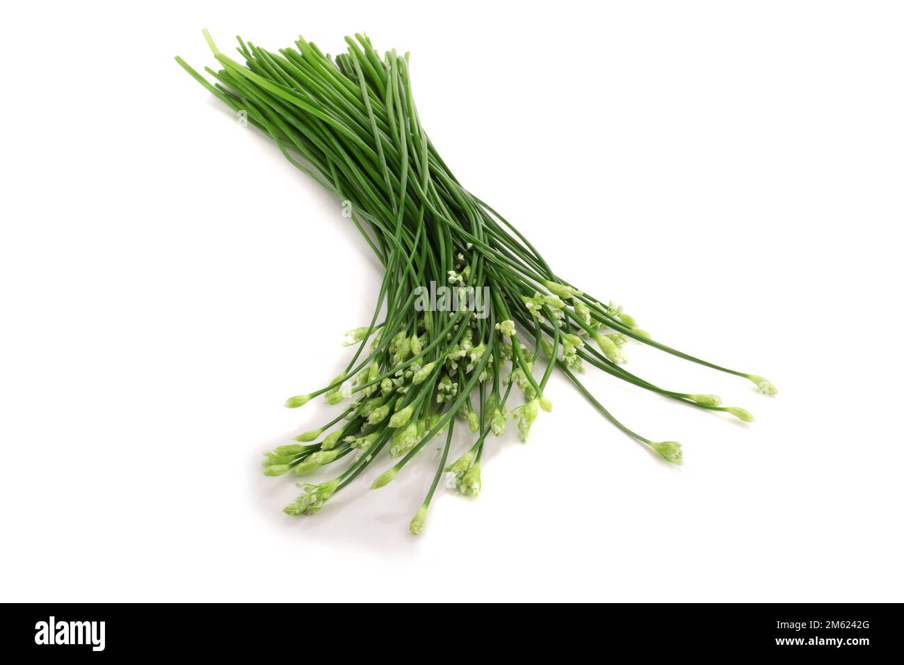 Bundle chives Cut Out Stock Images & Pictures - Alamy