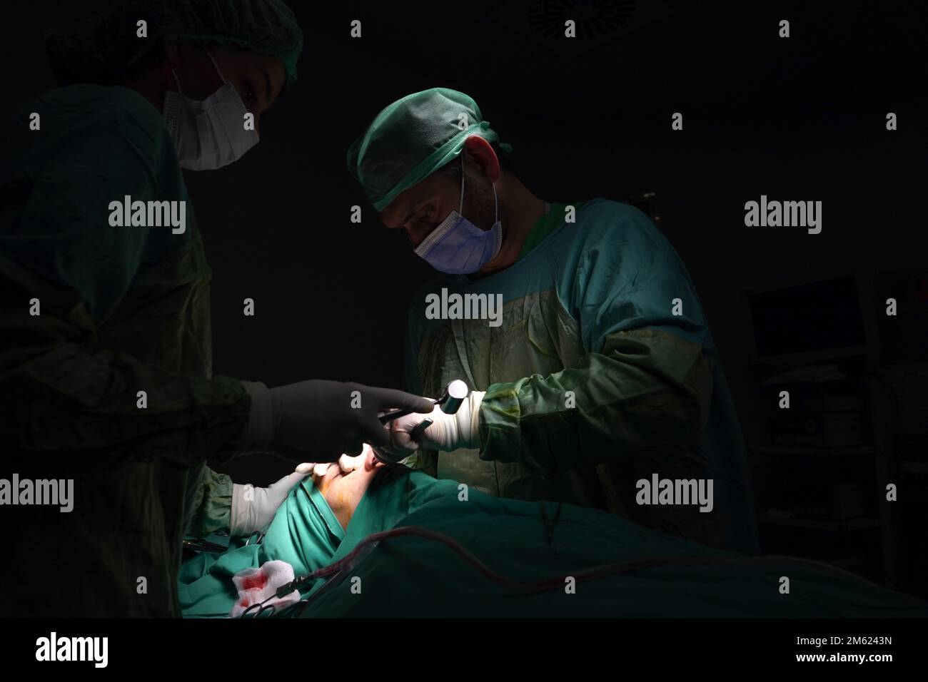 rhinoplasty surgery, defects in the shape of the nose in the female ...