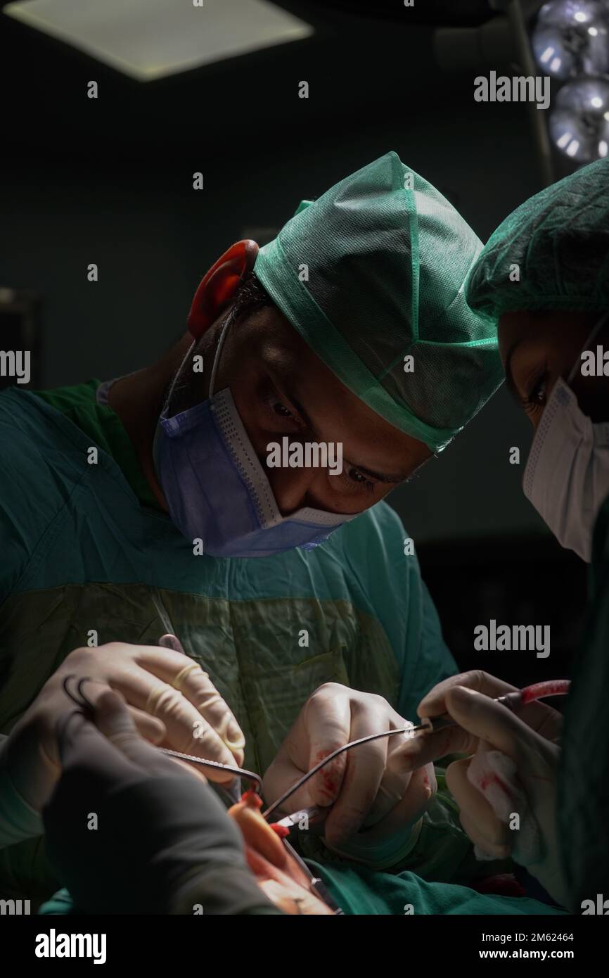 rhinoplasty surgery, defects in the shape of the nose in the female ...