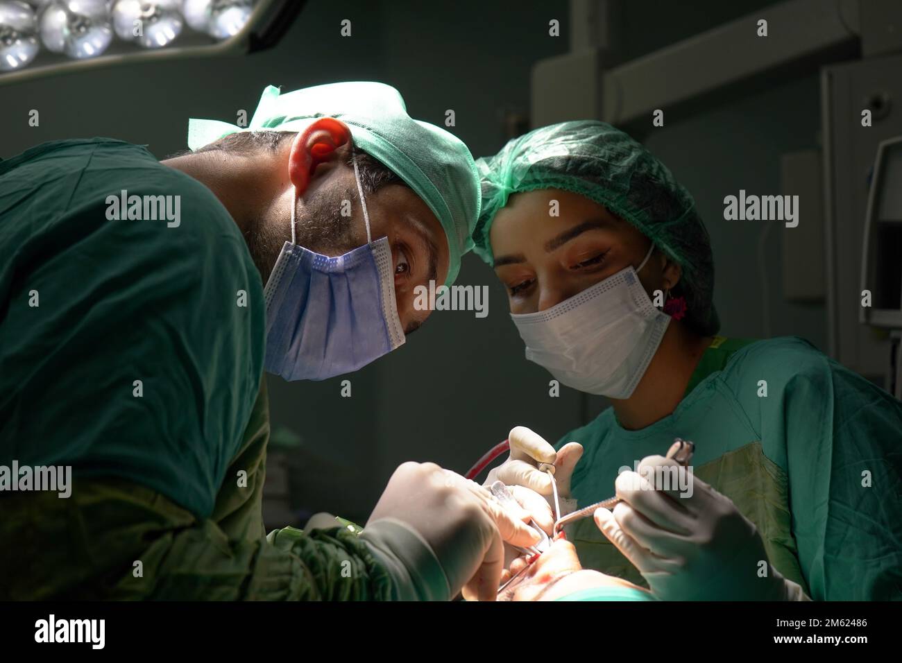 rhinoplasty surgery, defects in the shape of the nose in the female ...