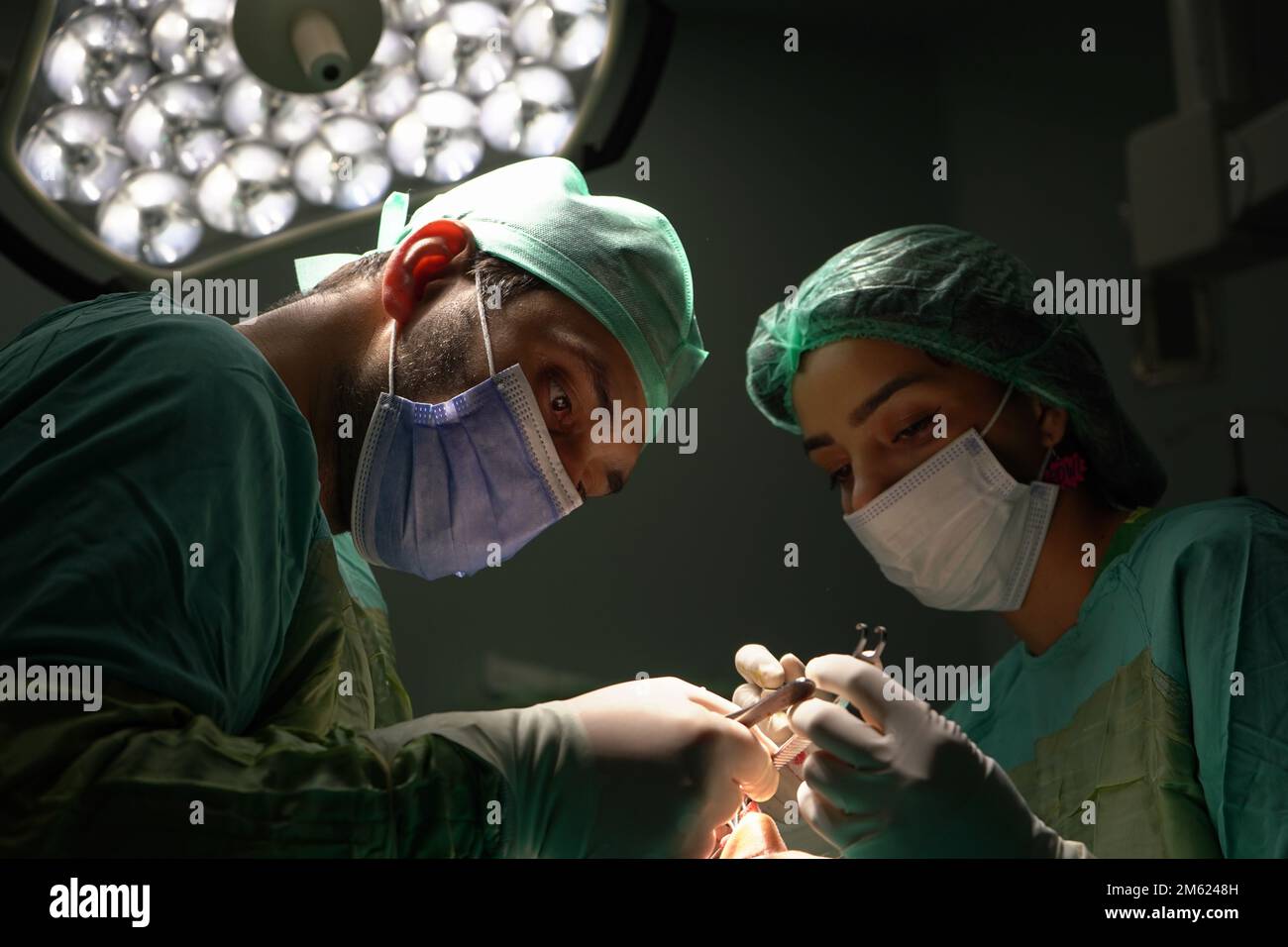 rhinoplasty surgery, defects in the shape of the nose in the female ...