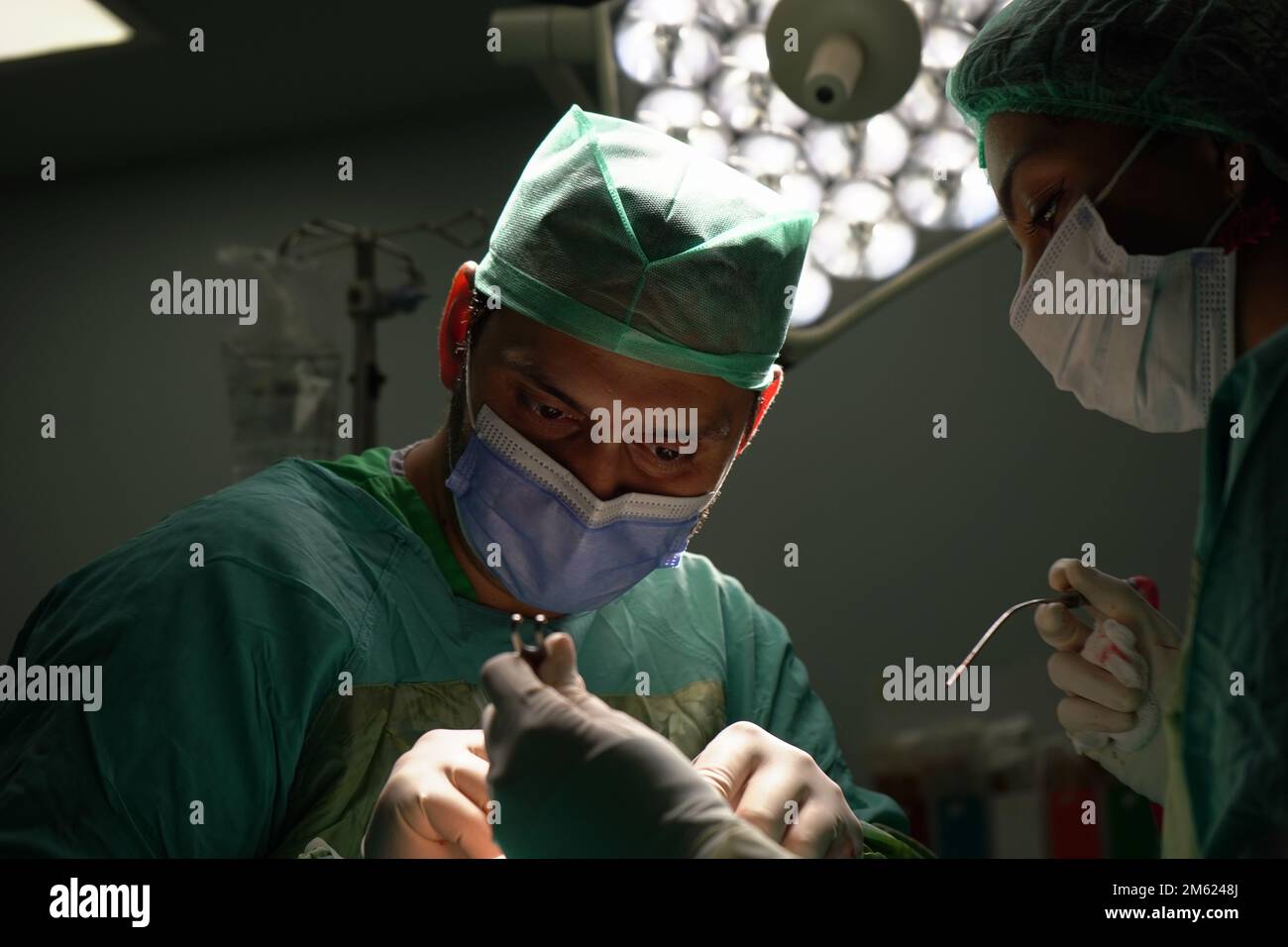 rhinoplasty surgery, defects in the shape of the nose in the female ...