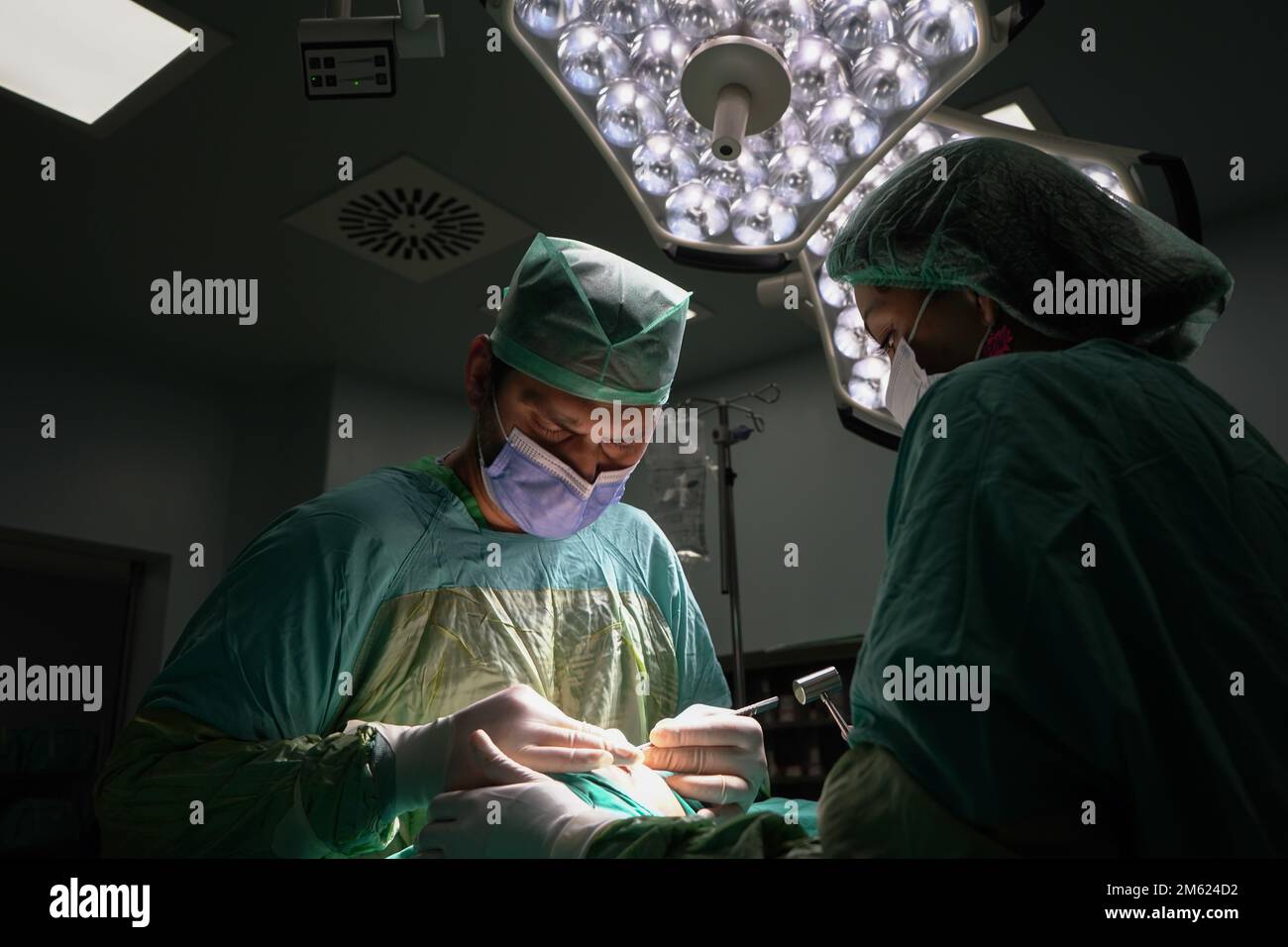 rhinoplasty surgery, defects in the shape of the nose in the female ...