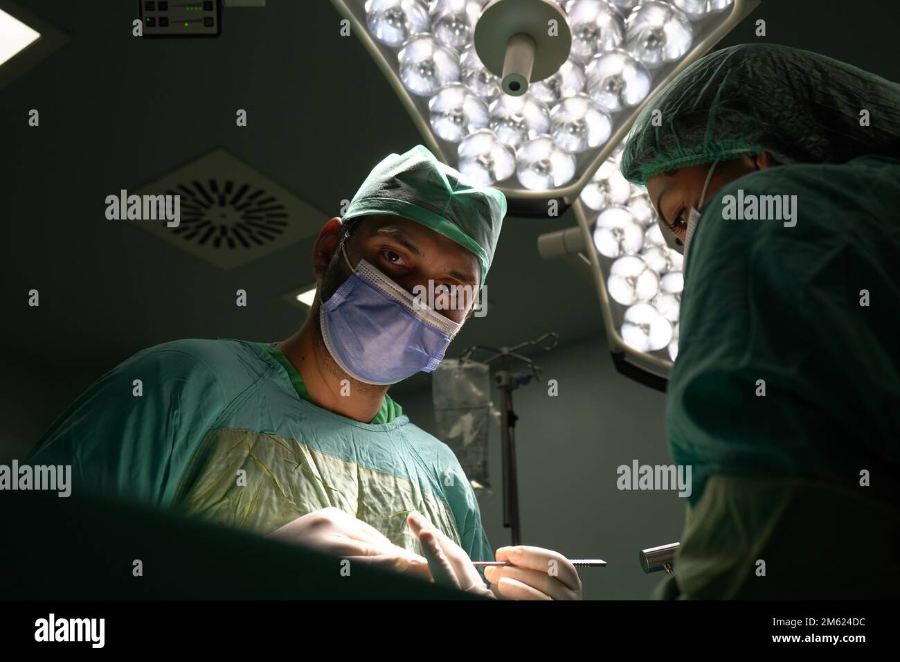 rhinoplasty surgery, defects in the shape of the nose in the female ...