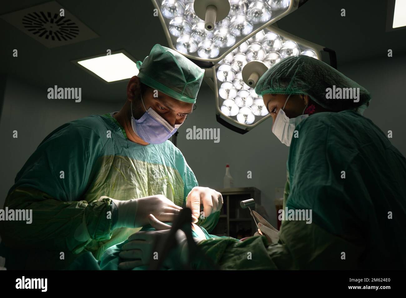 rhinoplasty surgery, defects in the shape of the nose in the female ...