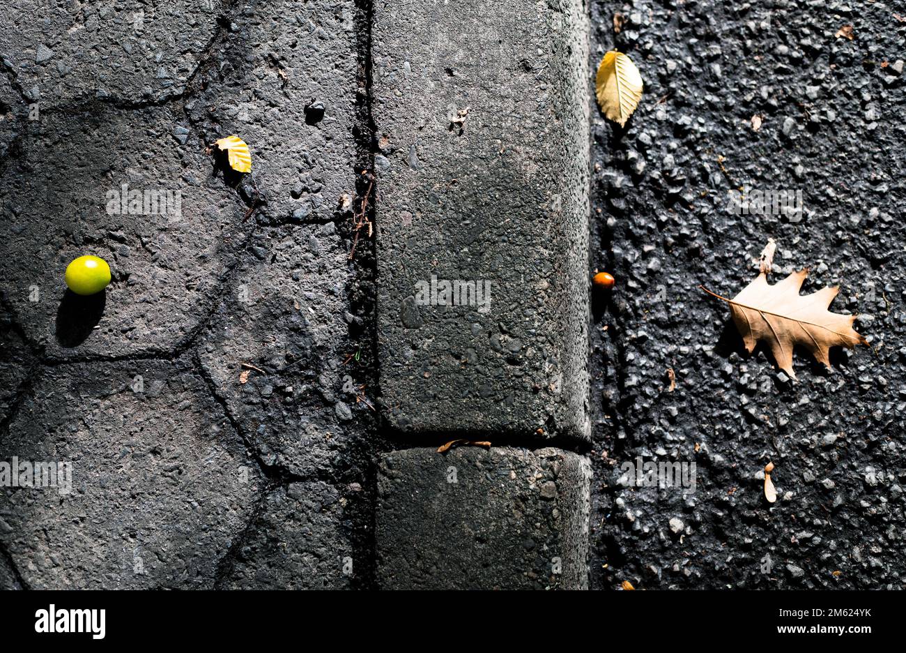 Street Detail, Cement, Green Nut and Leaves Stock Photo - Alamy
