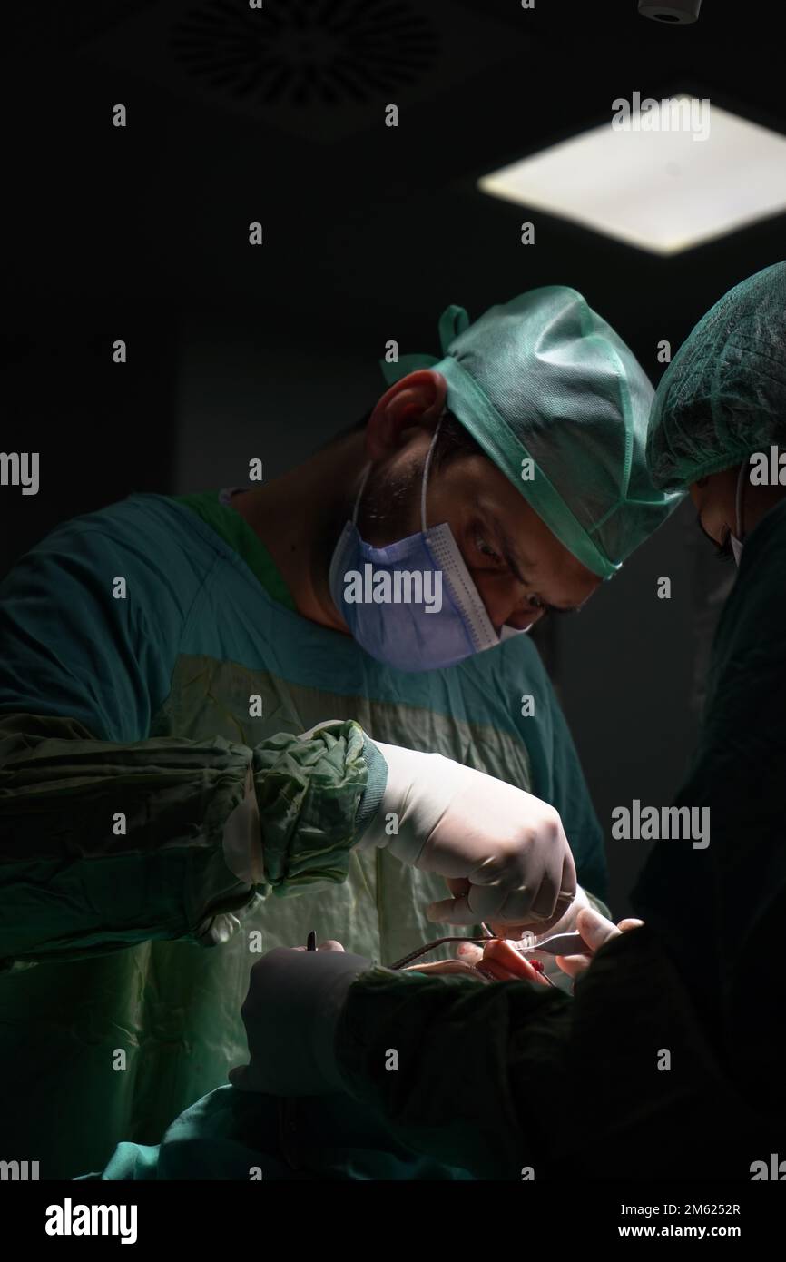 rhinoplasty surgery, defects in the shape of the nose in the female ...