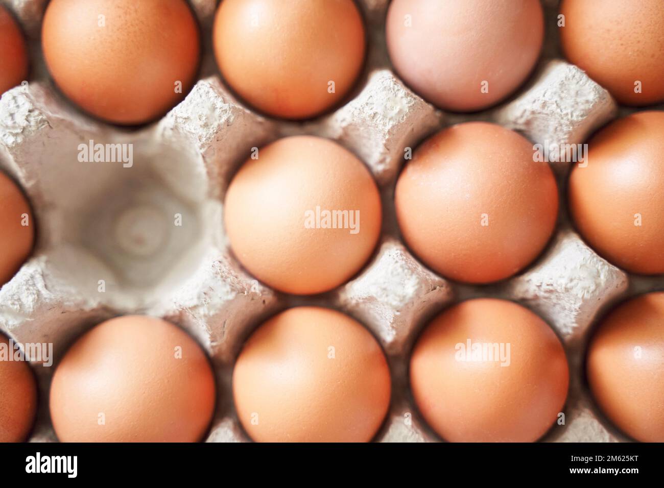 Empty egg carton supermarket hi-res stock photography and images - Alamy