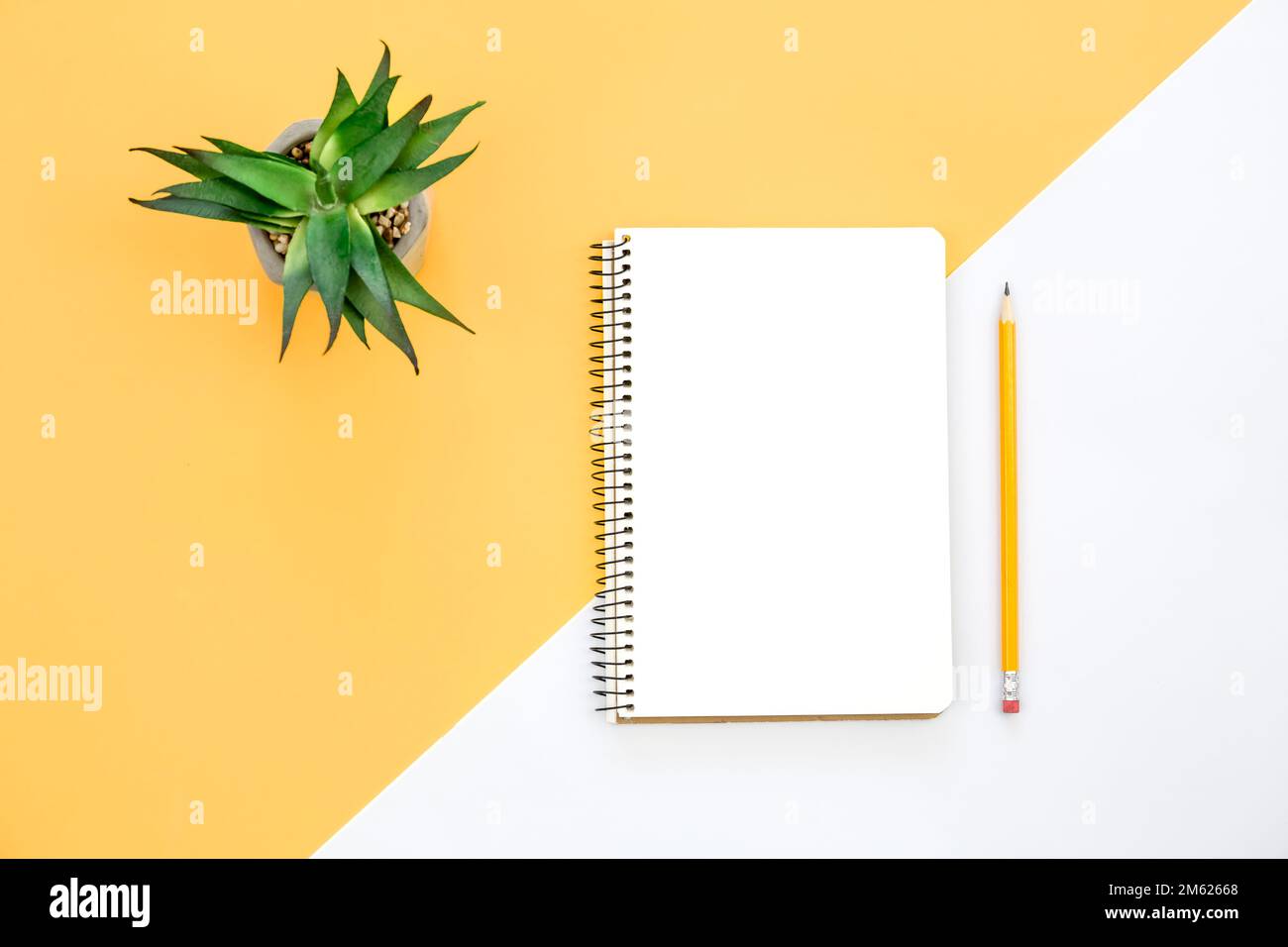 Blank notepad on colored background, flat lay Stock Photo - Alamy