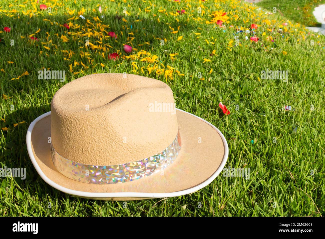 Put on straw hat hi-res stock photography and images - Alamy