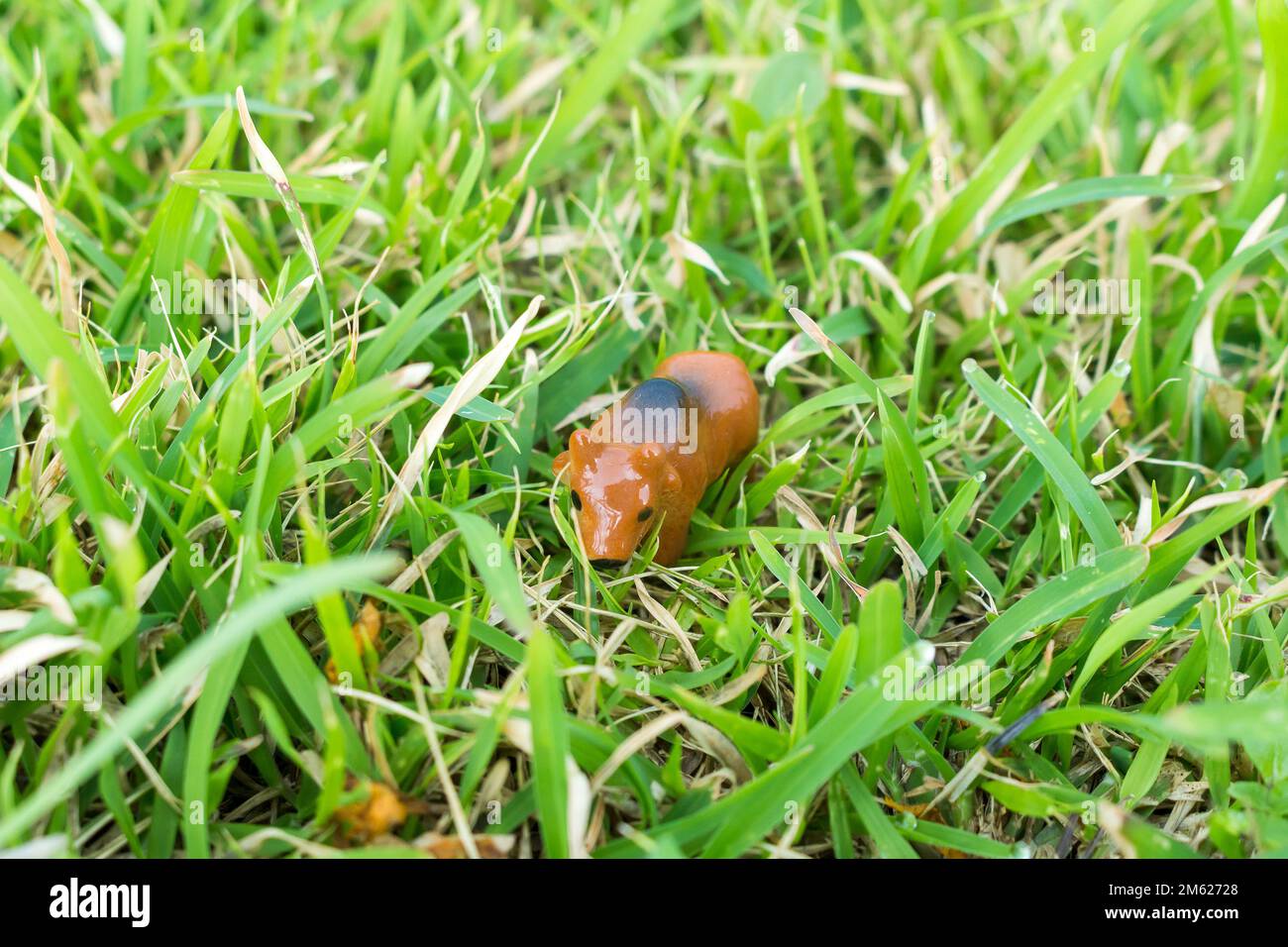 Toy farm animals grass hi-res stock photography and images - Alamy