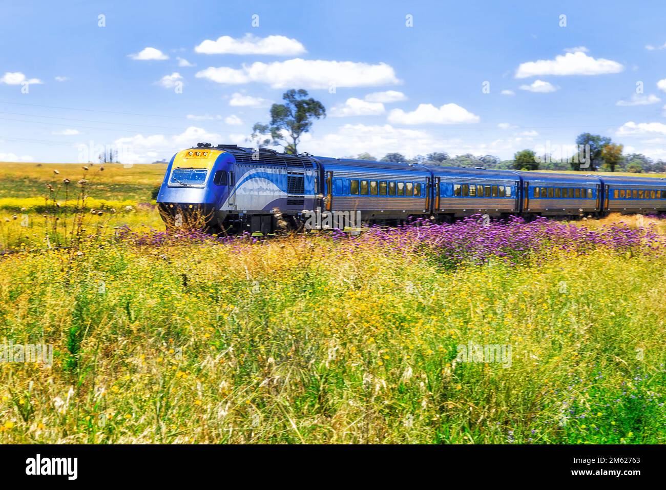 Long passenger intercity Train in Australia on Central West meadows ...