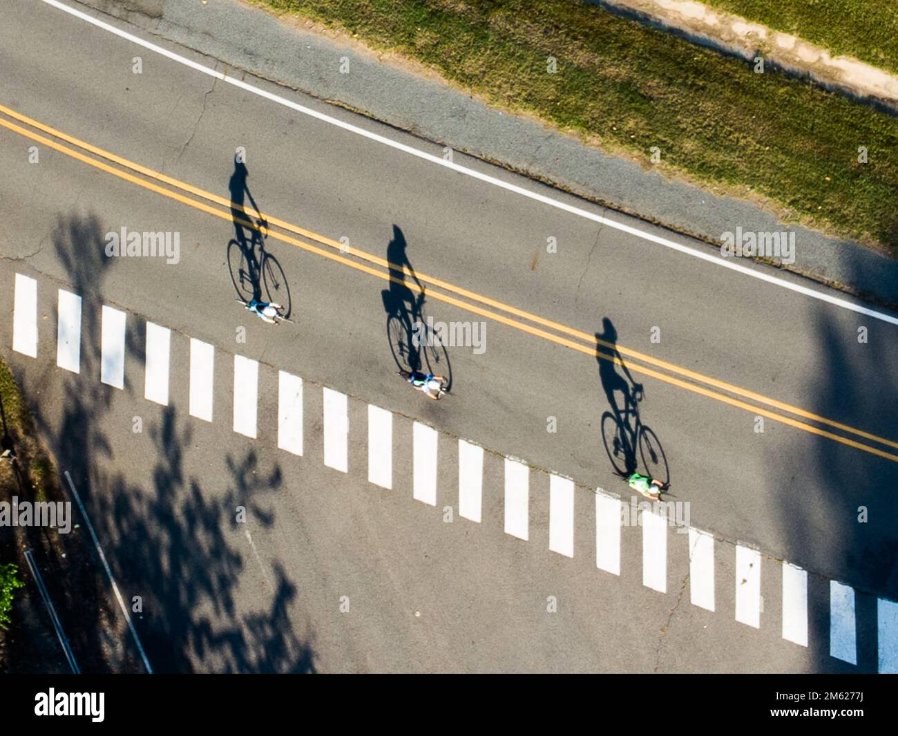 A top view of people riding bicycles on a road with shadows Stock Photo ...