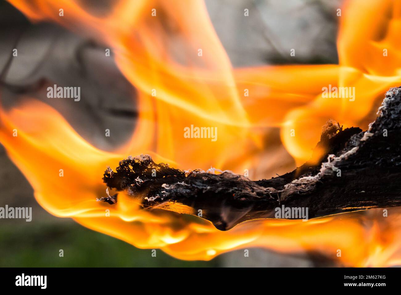 Wood Fire Close-Up wood smoke fire close-up Stock Photo - Alamy