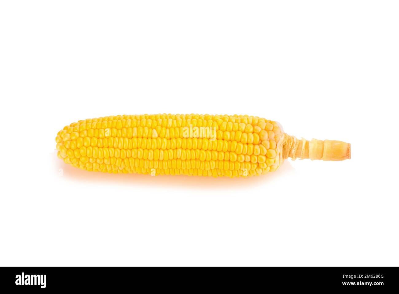 Corn on white background Stock Photo - Alamy