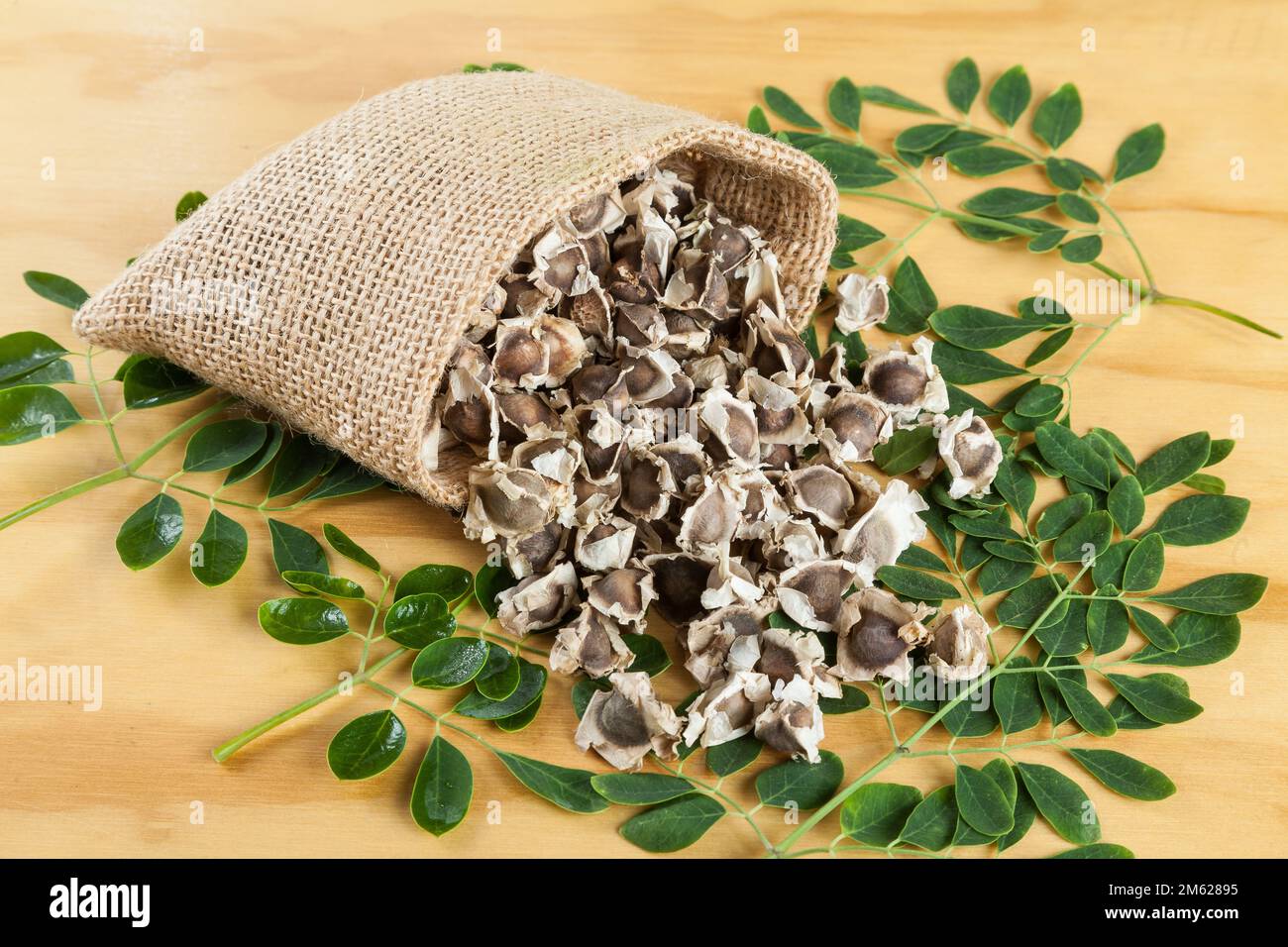 Organic moringa seeds - Moringa oleifera Stock Photo - Alamy