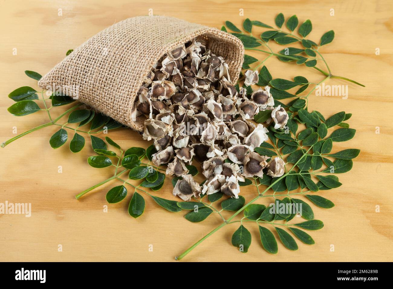 Organic moringa seeds - Moringa oleifera Stock Photo - Alamy