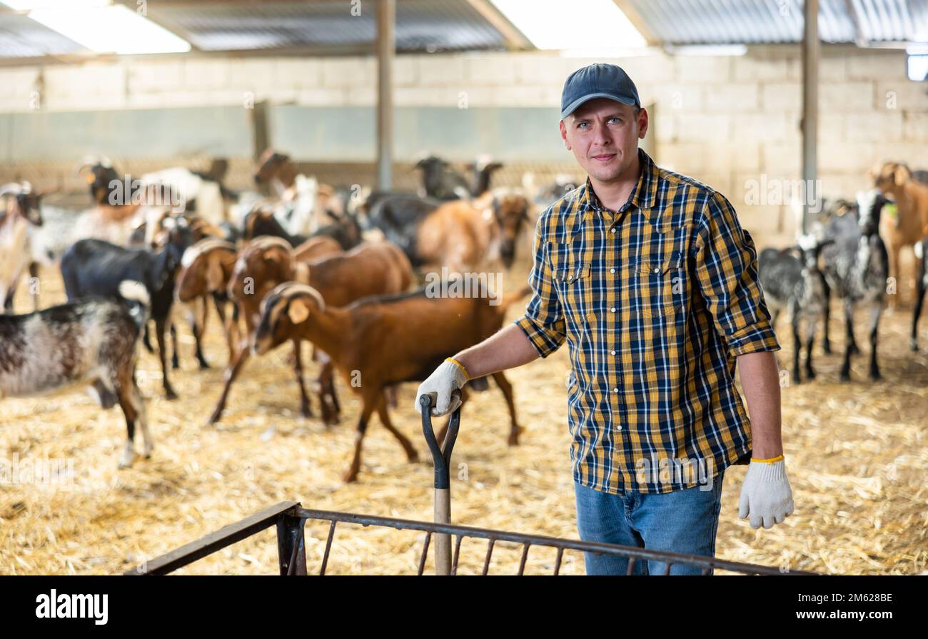 Experienced livestock farm worker standing in goat stall Stock Photo ...