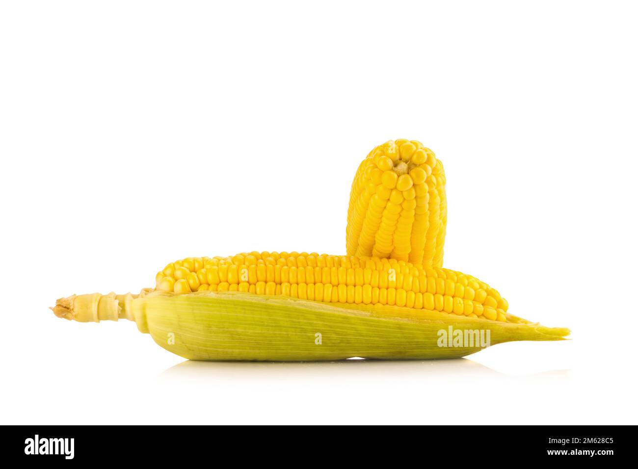 Ear growing corn on Cut Out Stock Images & Pictures - Alamy